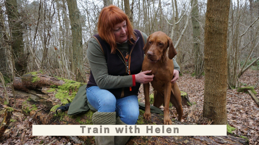 Train With Helen - Gundog Training & Courses | Clicker Gundog